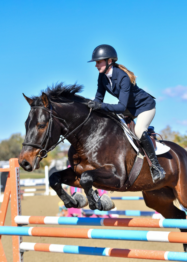 Tango BF - Branscomb Farm
